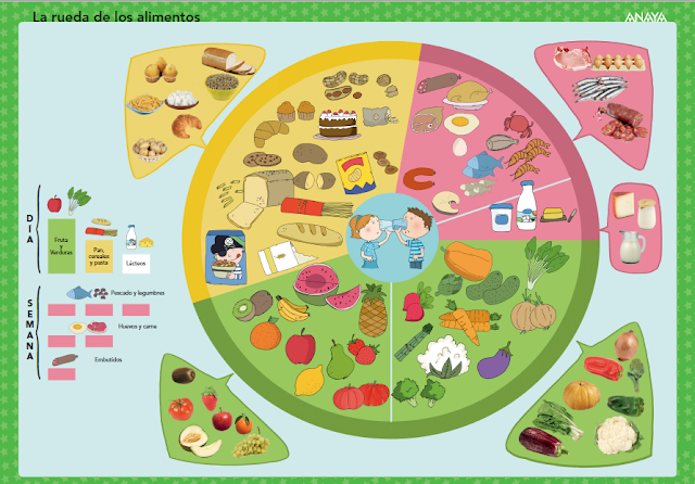 Aprender te da alas : La rueda de los alimentos