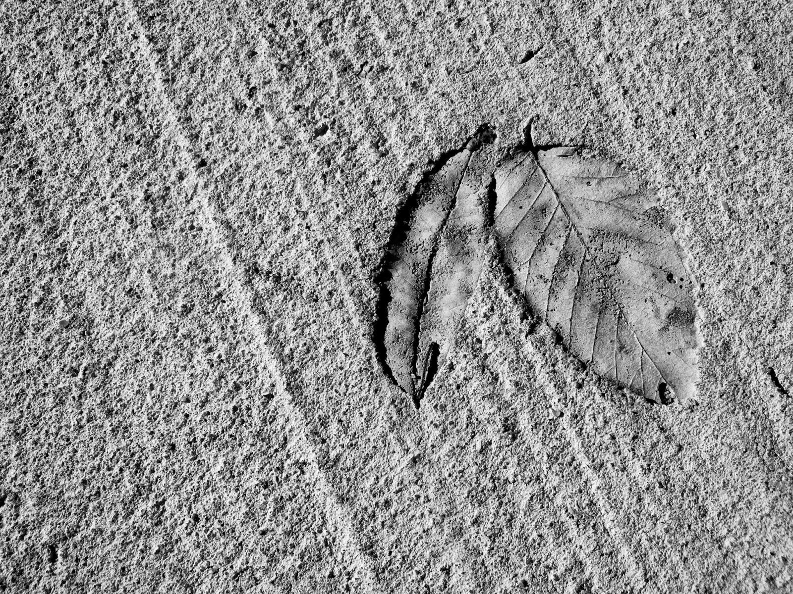 BD Photo 1: Finding A Focal Point