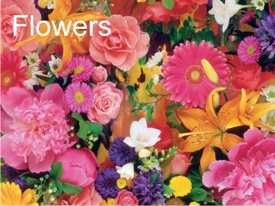 Makna Bunga Menurut feng Shui | SCI Pusat