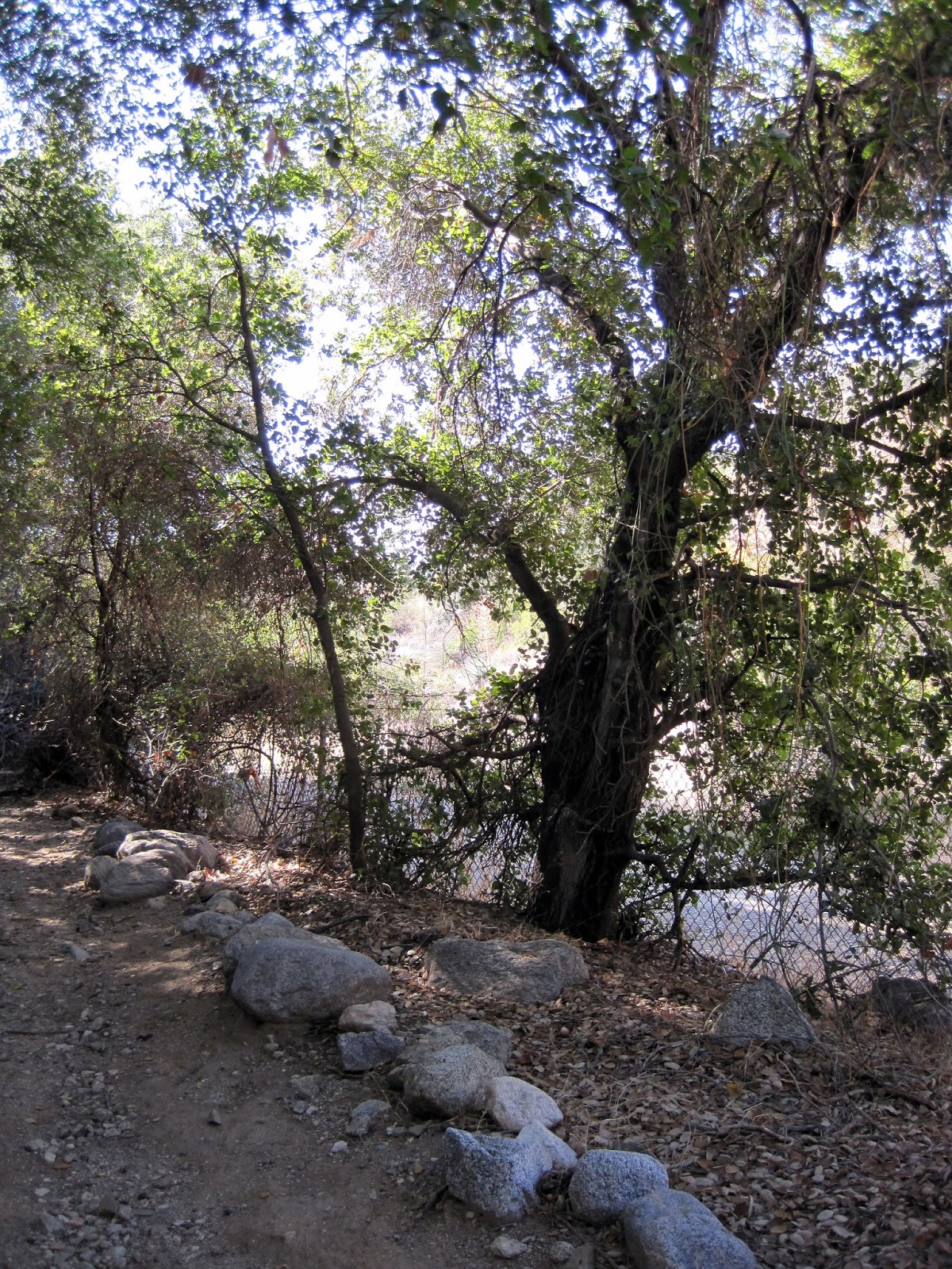 Sherry Schmidt Watercolors: 2017