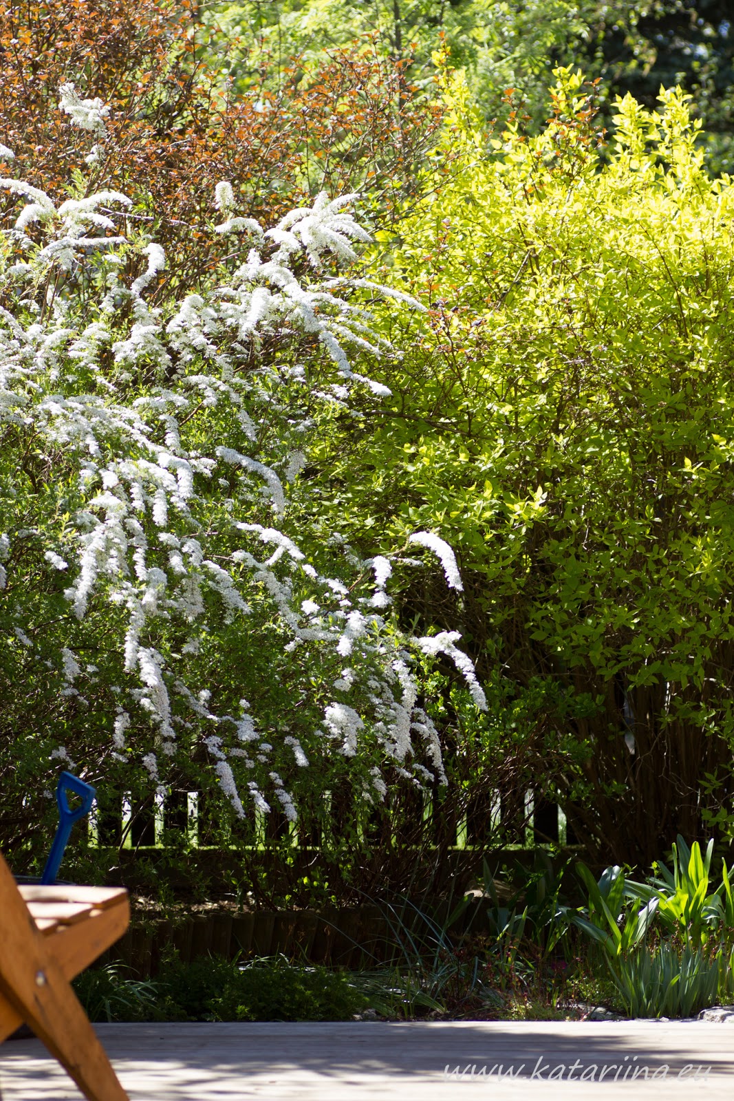 Katariina kudugurmee: Kevad on aias.