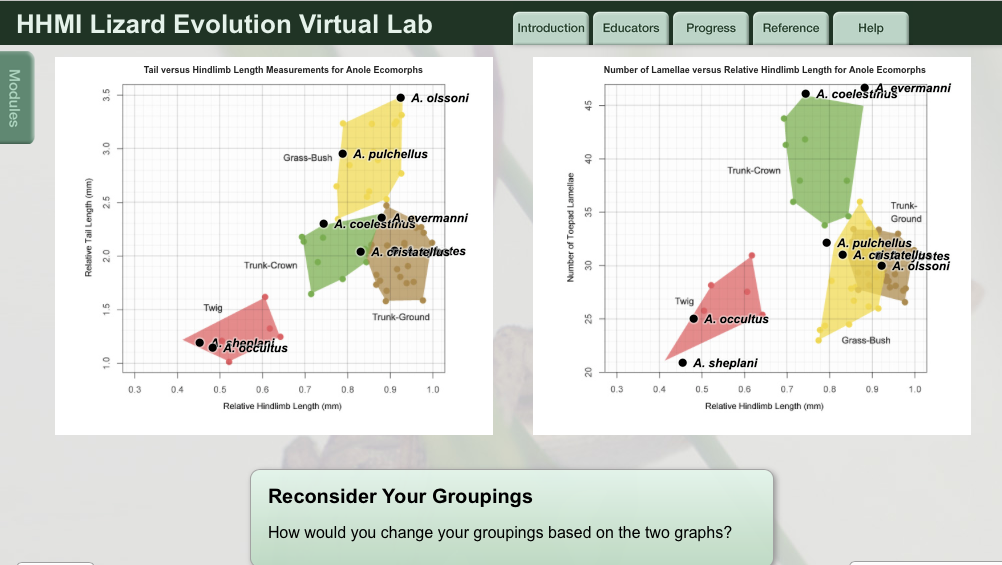 College Blog Site: Benefits of Genetic Diversity Lab