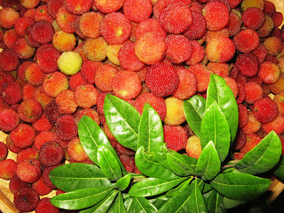 台灣 60天: Day 18: 楊梅果 The Yang Mei Fruit