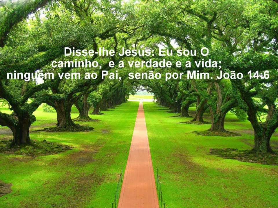 SÓ "JESUS" SALVA : Os dois caminhos, uma só escolha e só você pode ...
