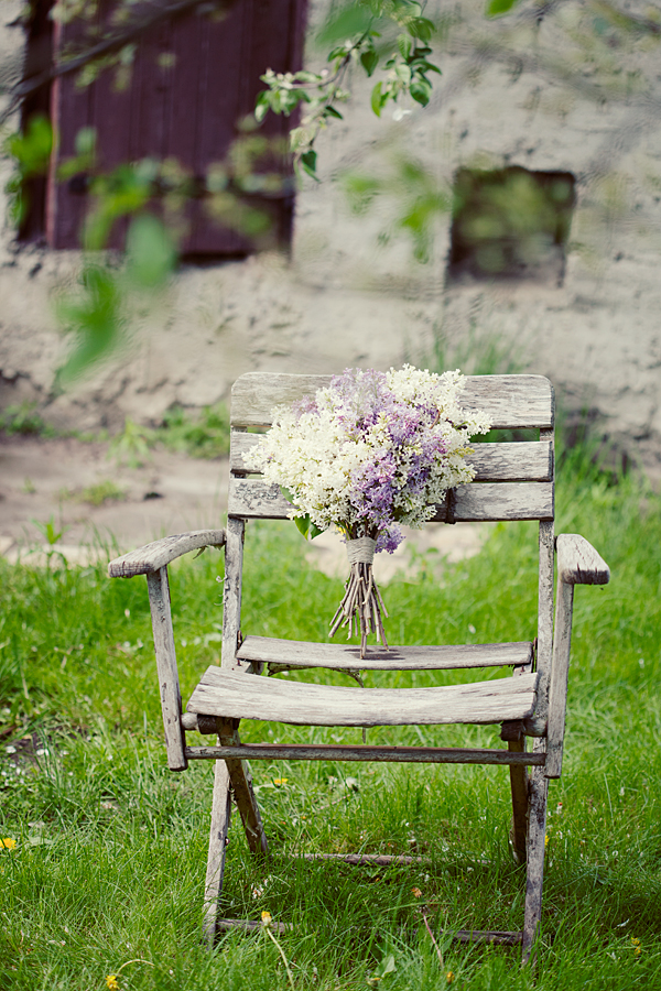 the cinderella project: because every girl deserves a happily ever ...