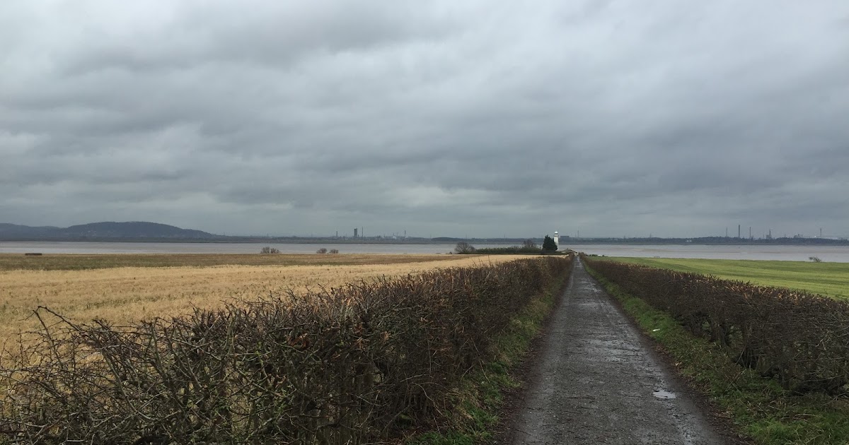 Birding The Boundary: Friday Gulling