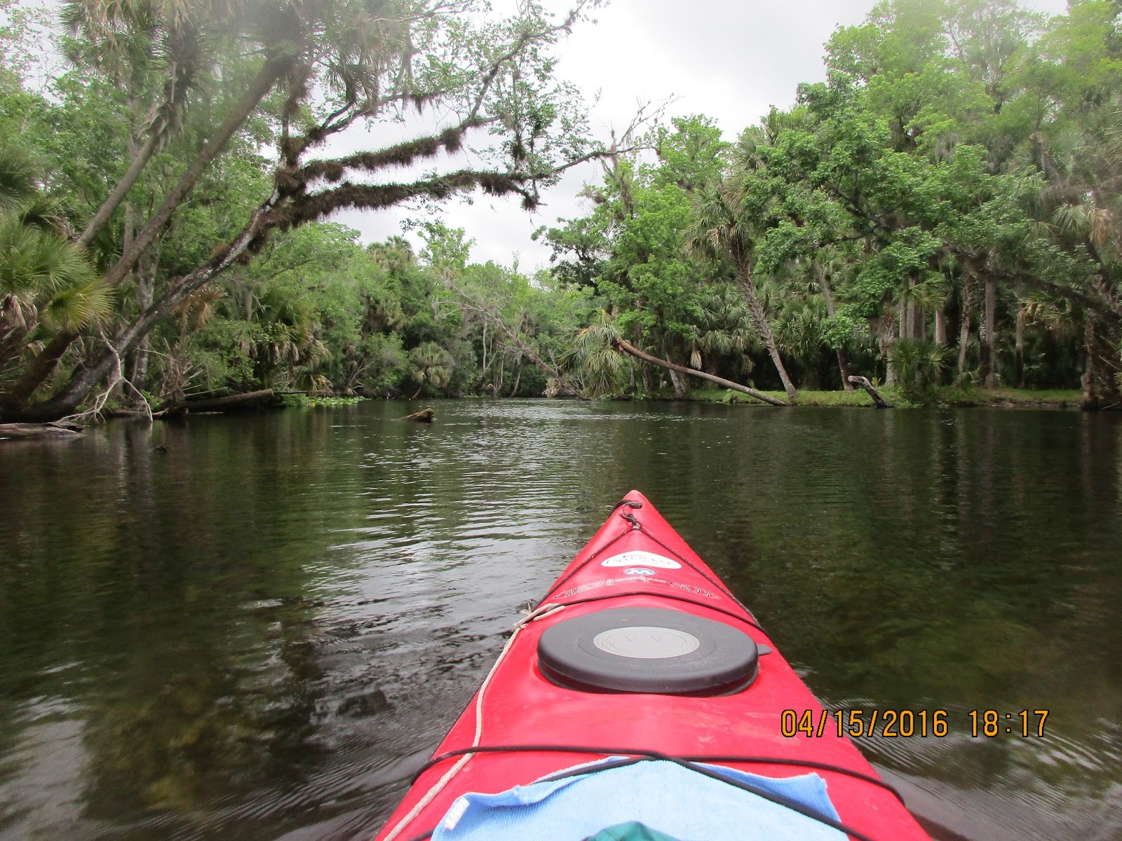 Dave's Yak Tales: Wekiva River
