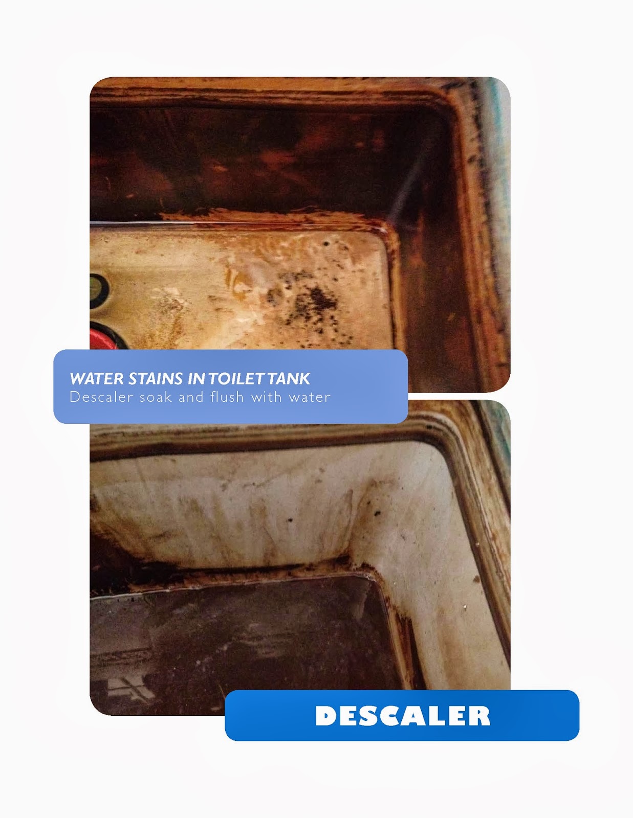 Rebecca Lange - Norwex Independent Sales Consultant: Norwex Descaler