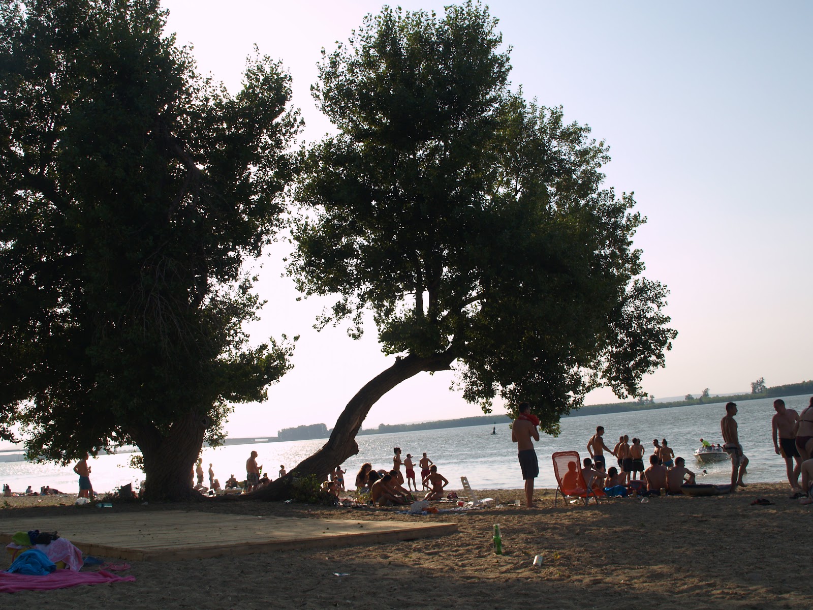 PLAJA BASCOV