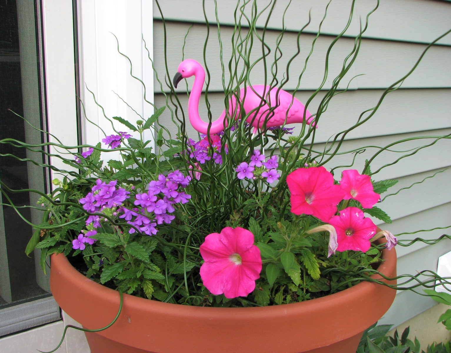 Sweet Home Indiana: 10 Tips for a Great Flower Garden