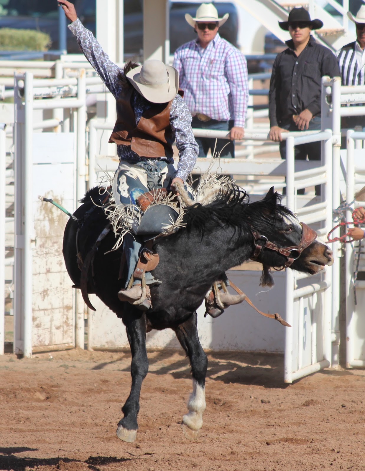 Just West of My Heart: An Afternoon at Orme Dam Victory Days Rodeo at ...