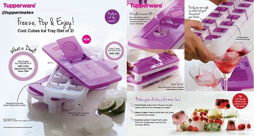 Week 22 Fact Sheet - Tupperware India - Tuppermates