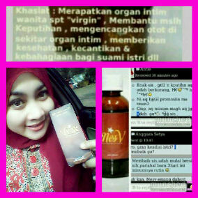 HWI INDONESIA: TESTIMONI NES V