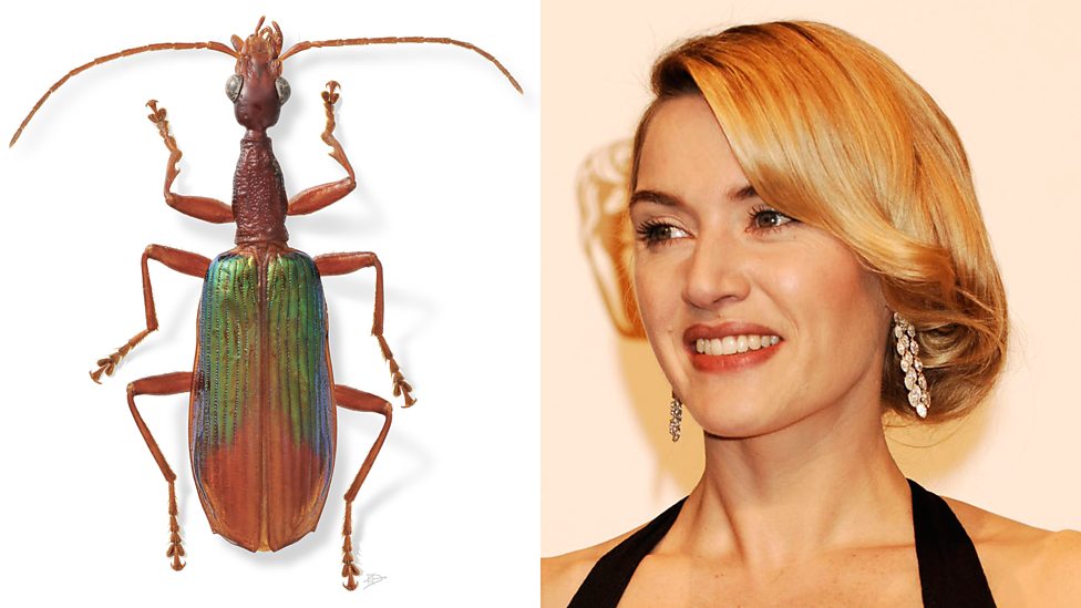 Neobična naučna imena: Obamina riba, Terminatorov trčuljak - Nauka govori