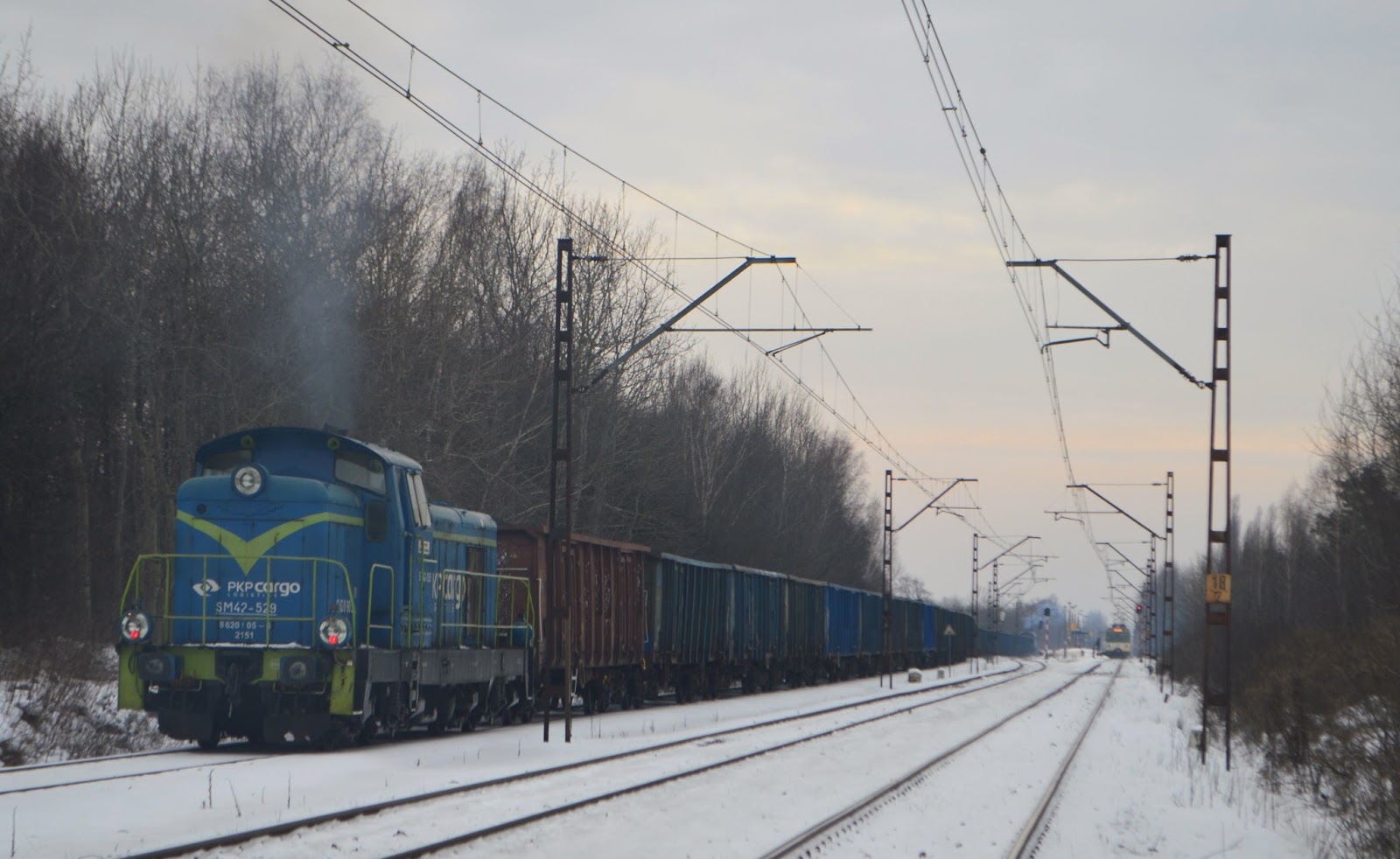 W-wa Jeziorki: Snowdrifts and trains in winter