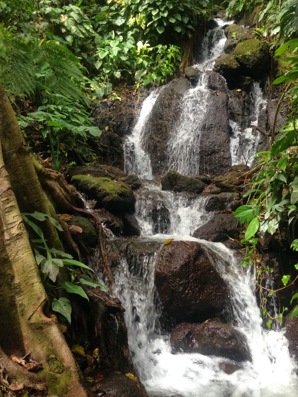 Zarene's Travel: Calijon Falls in Malvar, Batangas