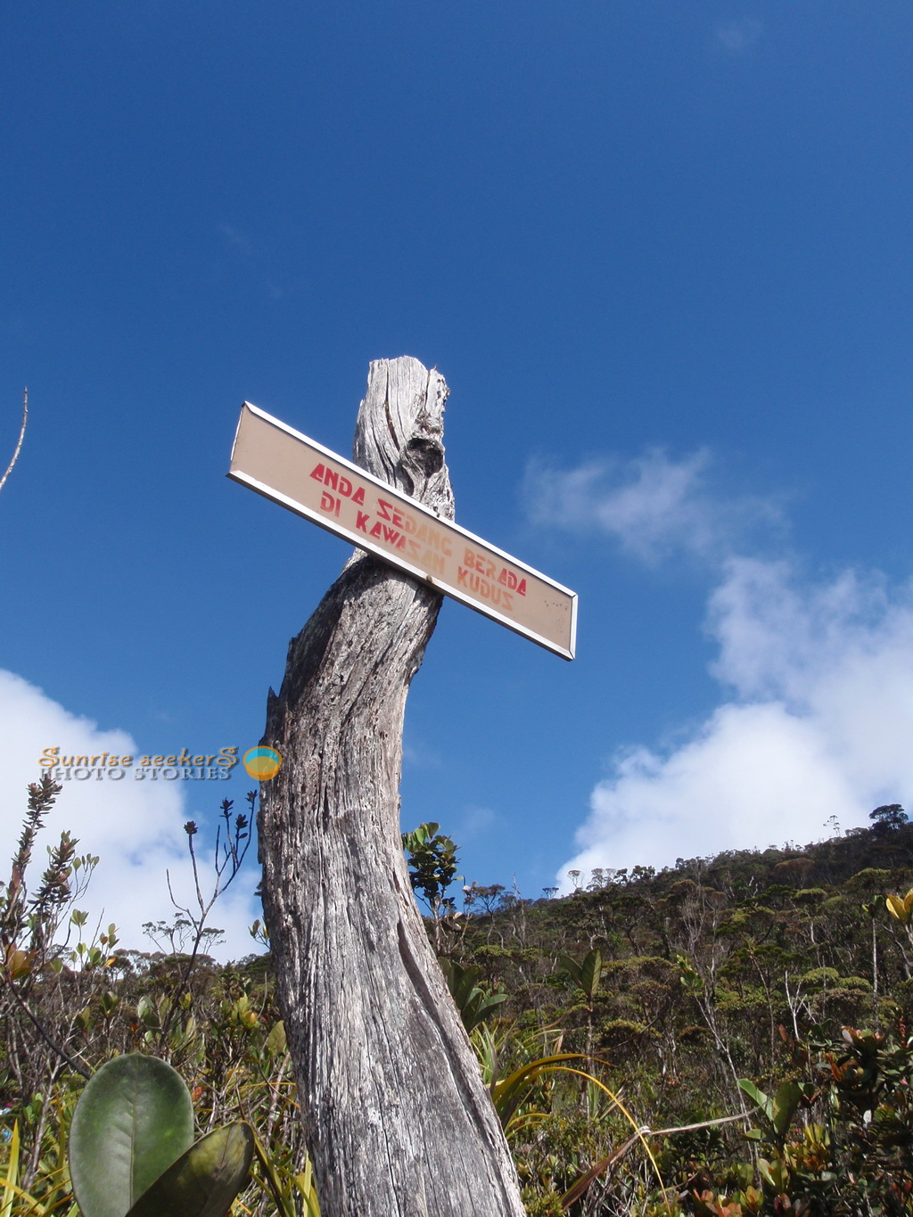 Lonely Jungle of Malaysia ( and Asia ): A Pilgrimage to Mt Murud - the ...