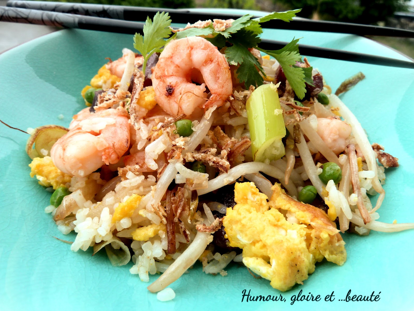 HGB: Le riz cantonais meilleur ... qu'au restaurant ! (Chine)