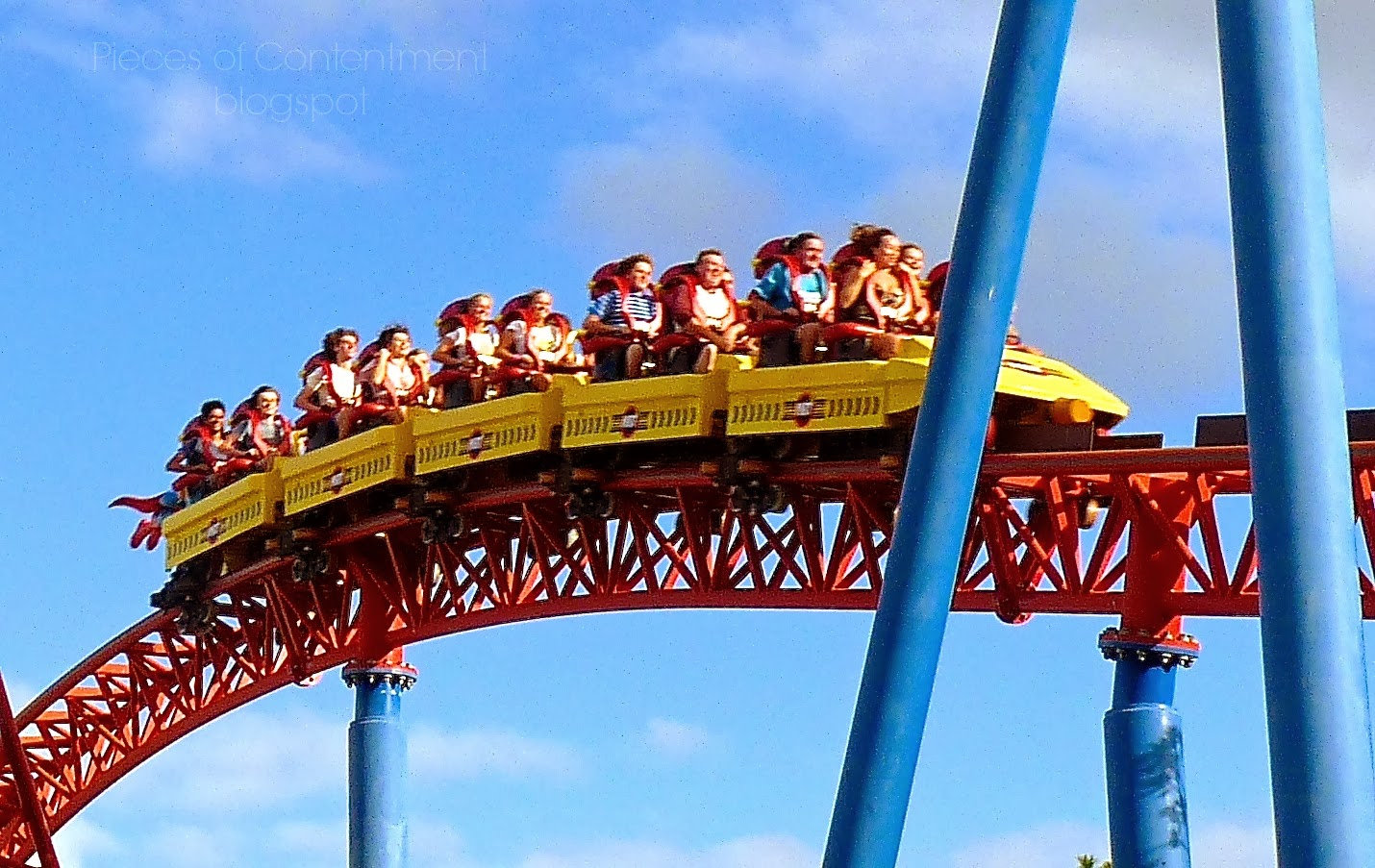 Pieces of Contentment: Which was the Favourite?