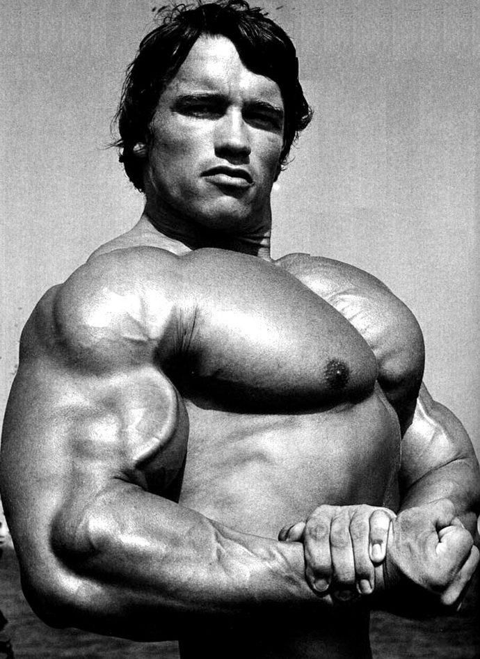 Arnold Schwarzenegger : r/RedditDayOf