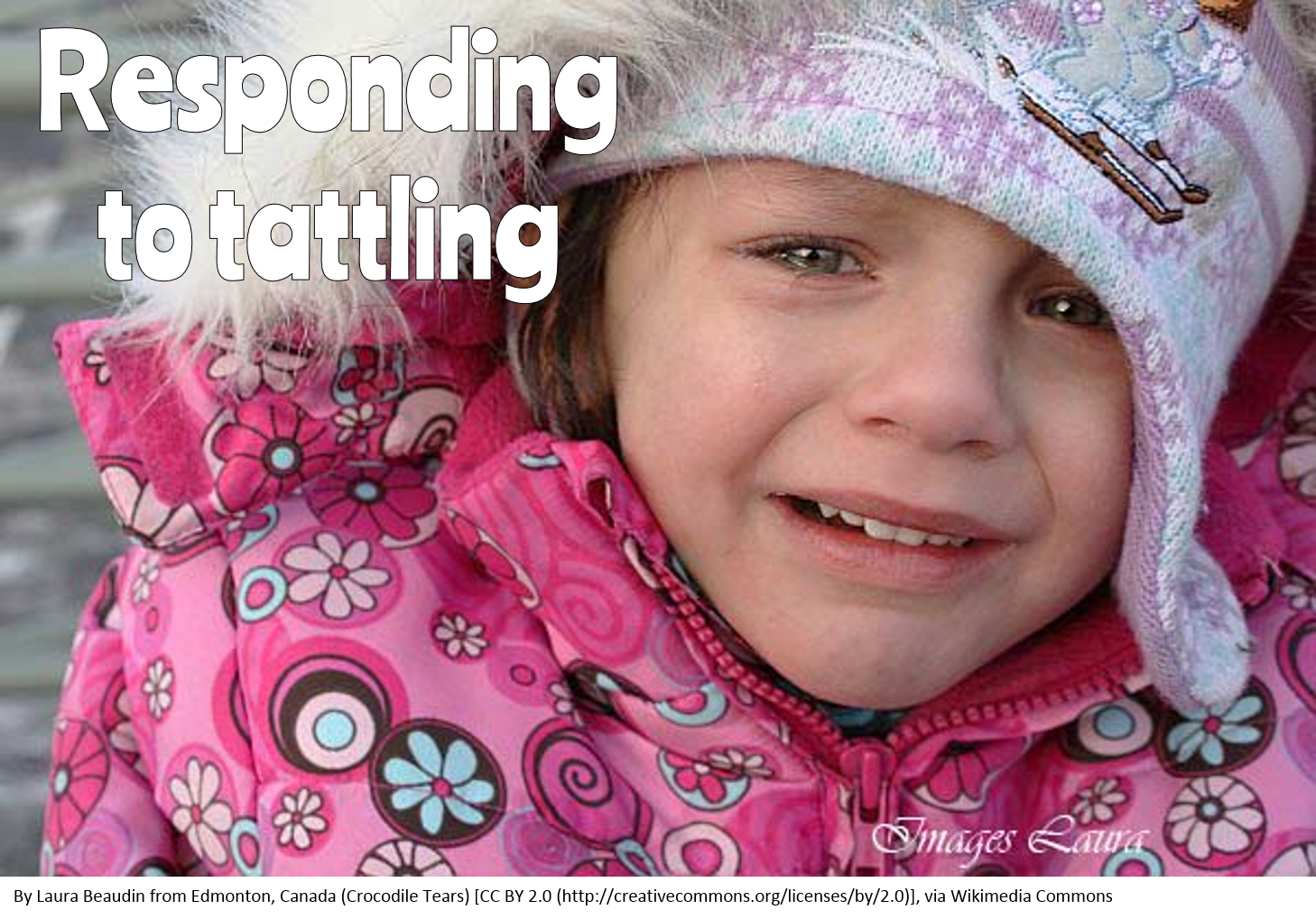 Not very fancy: ICYMI