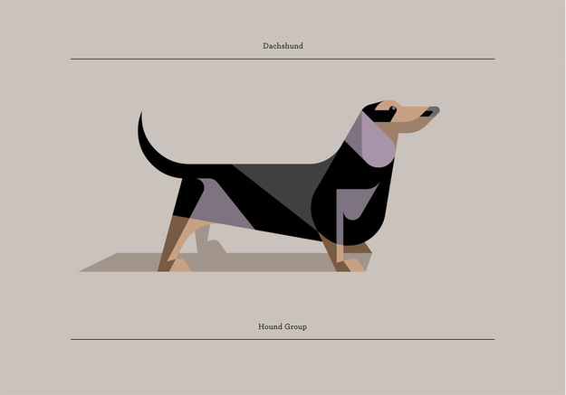 Retratos geométricos de perros