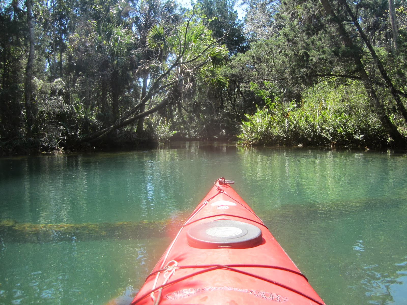 Dave's Yak Tales: Weeki Wachee, Mud River, and Salt Spring