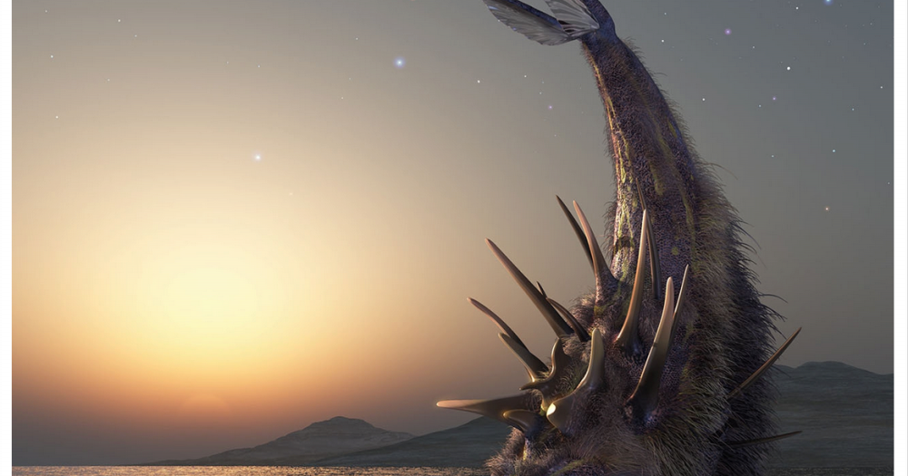 Furahan Biology and Allied Matters: Mr Masato's CGI creatures