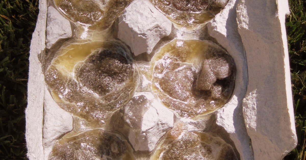 Our Adventure: Root Simple: Quick and Easy Fire Starters