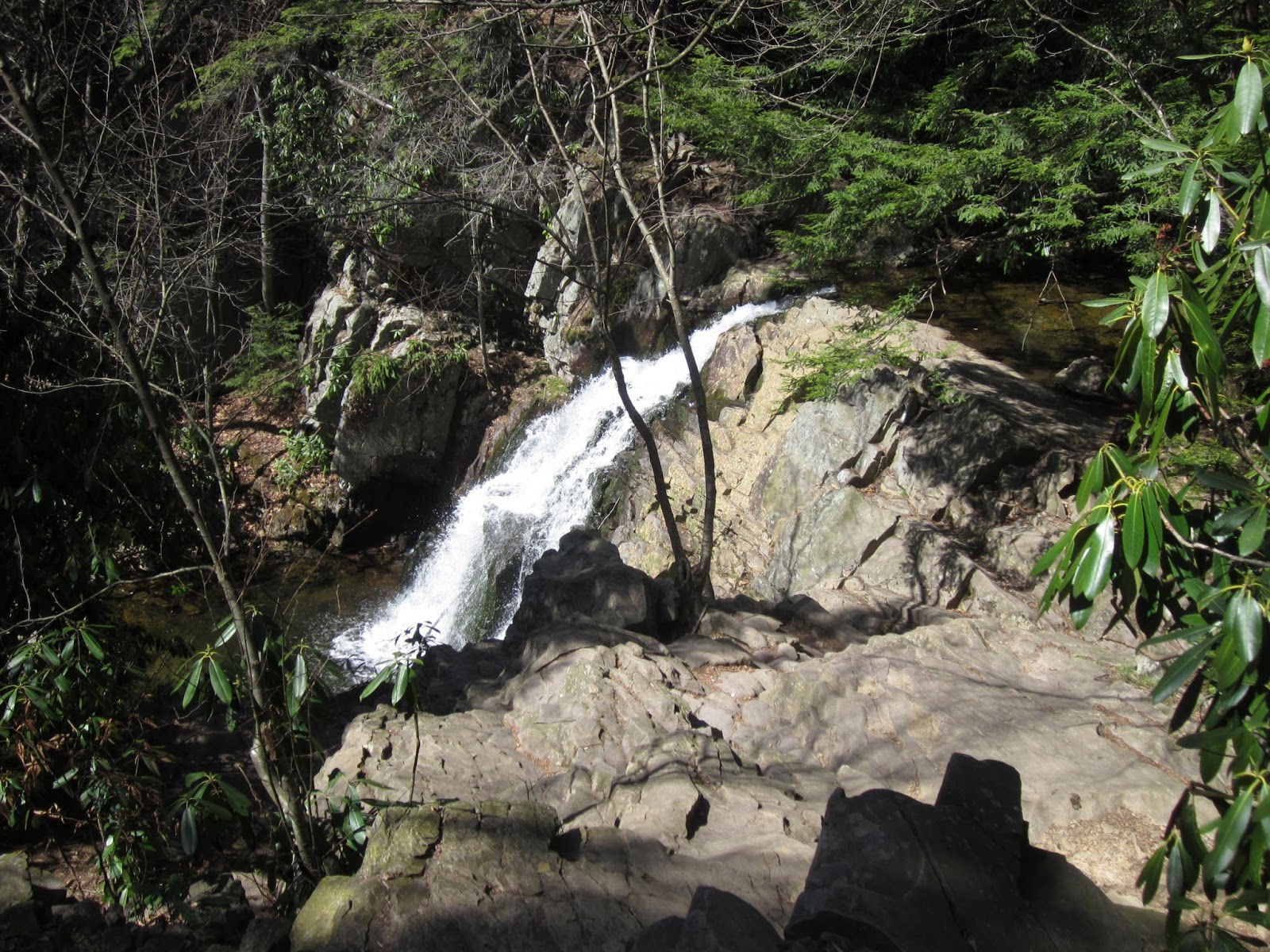 Hawk Falls