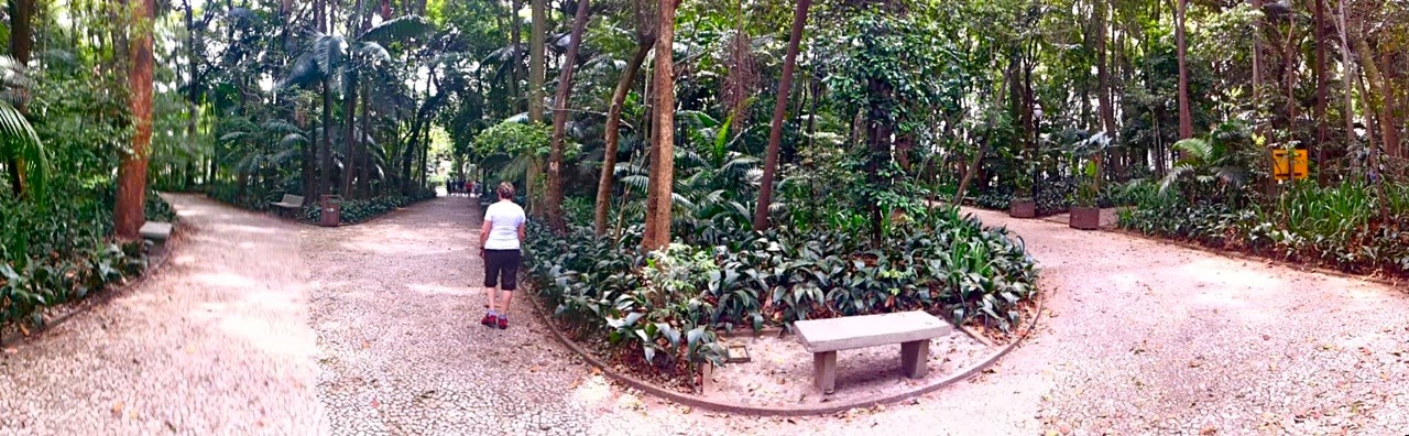 Parque Trianon ou Tenente Siqueira Campos em São Paulo ~ Áreas Verdes ...