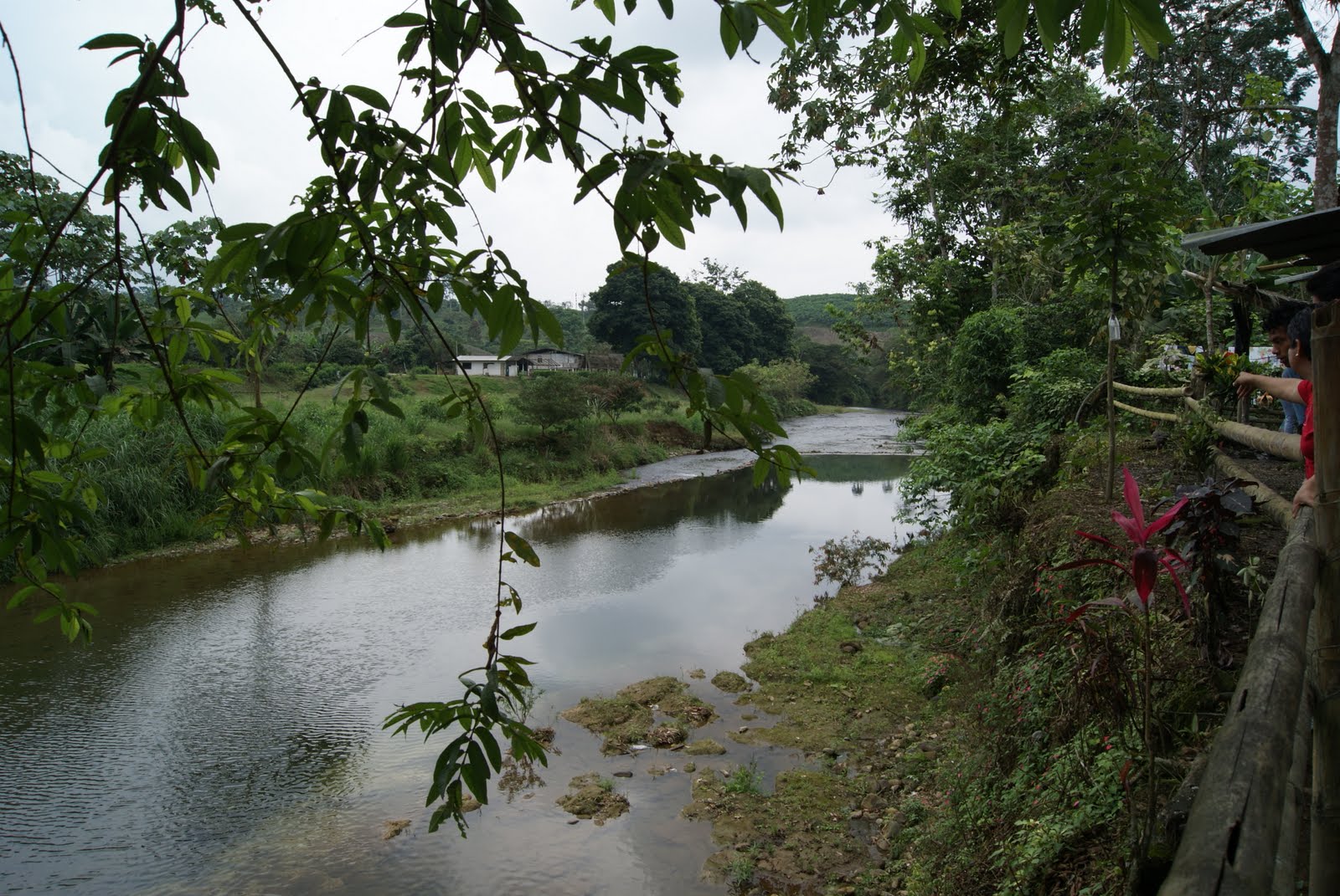 PAISAJES DE ECUADOR: Rio Bolo