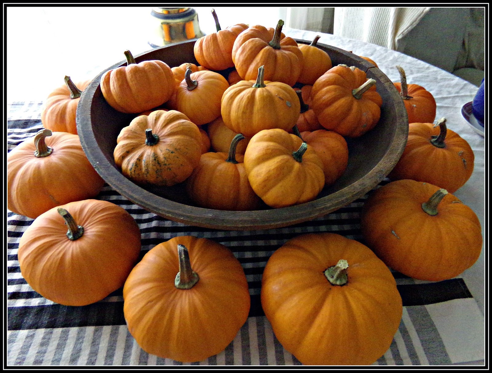 A Primitive Plot: Pumpkins