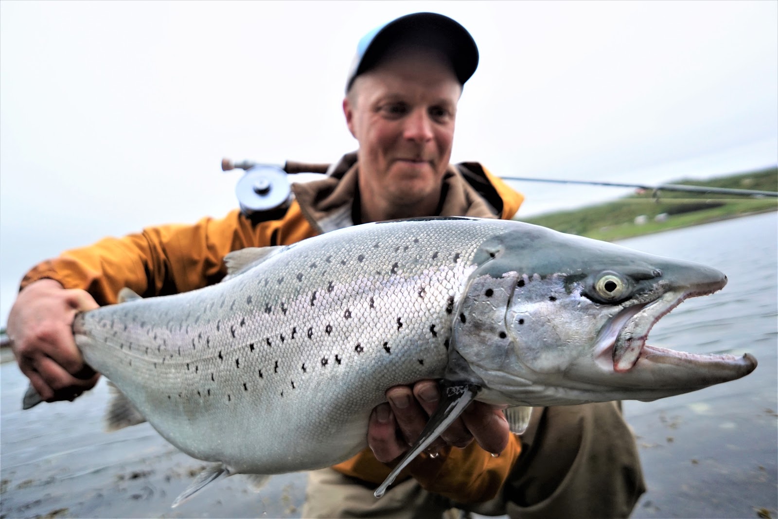 Grayling Land Kalastusmatkat