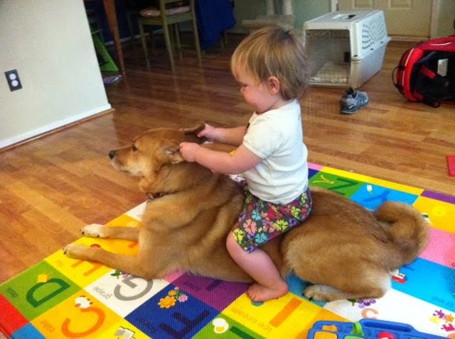 Dishy News - A Transferware Blog: CHILDREN AND DOGS