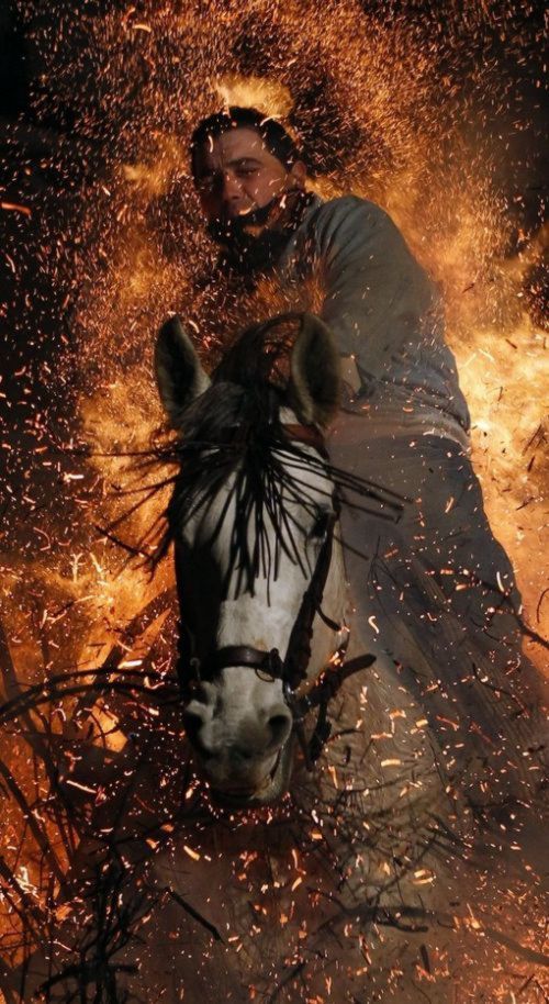 Amazing Funny Pictures: Jumping Through Fire pic