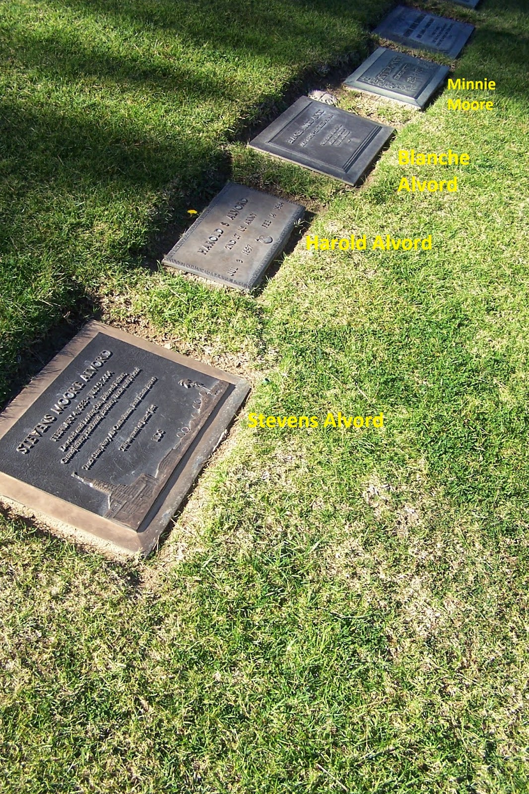 GatheringGardiners: Stevens Moore Alvord 1933 - 2004