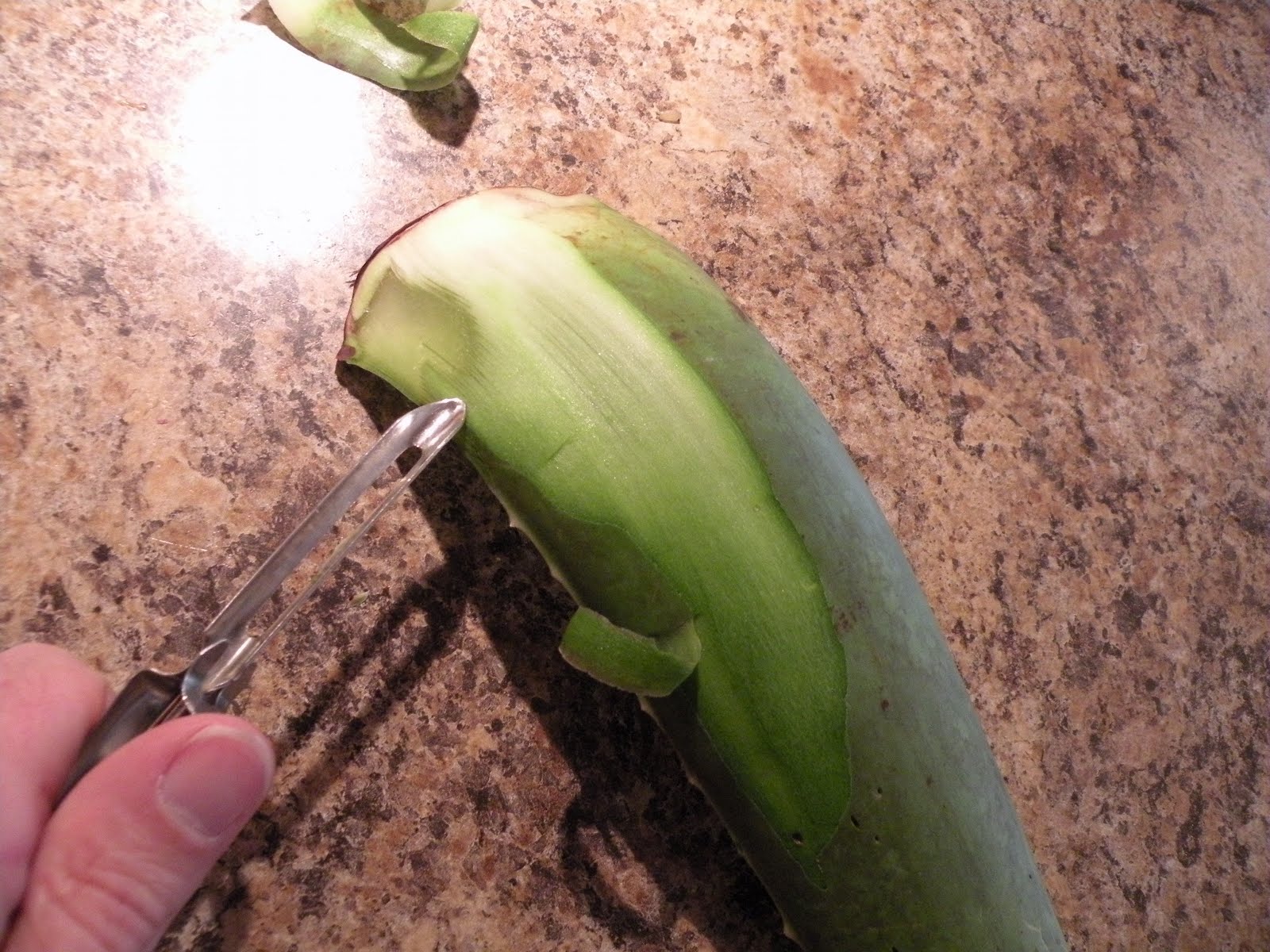 Eat More Veggies: A Biodiversity of Food: Aloe vera (Aloe vera)