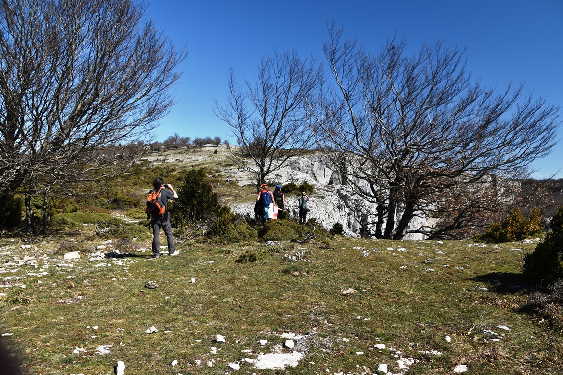 Mendiko osterak: Arnaba zirkularra Gastiain herritik