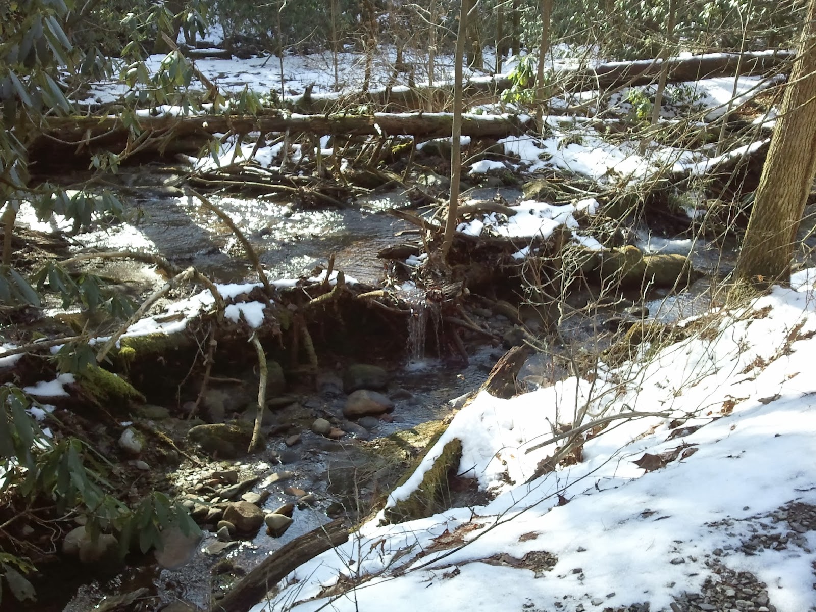 Frugal Trophy Wife: Russell Field to Spence Field Loop