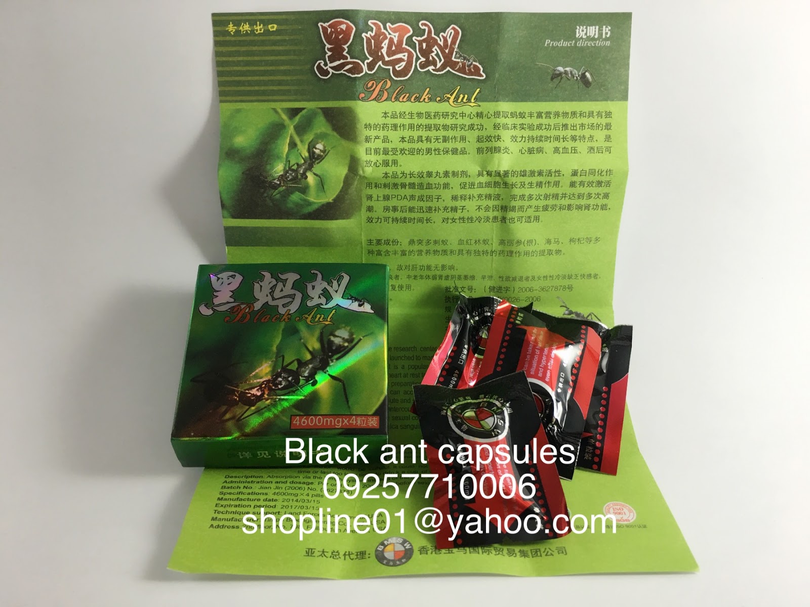 Black Ant