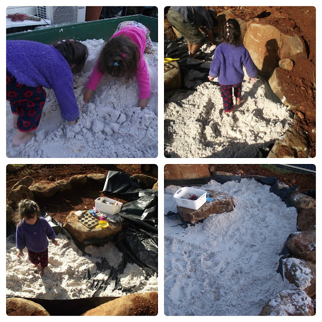 Weekend Wanderings - Sandpits & Seeds! - The Empowered Educator