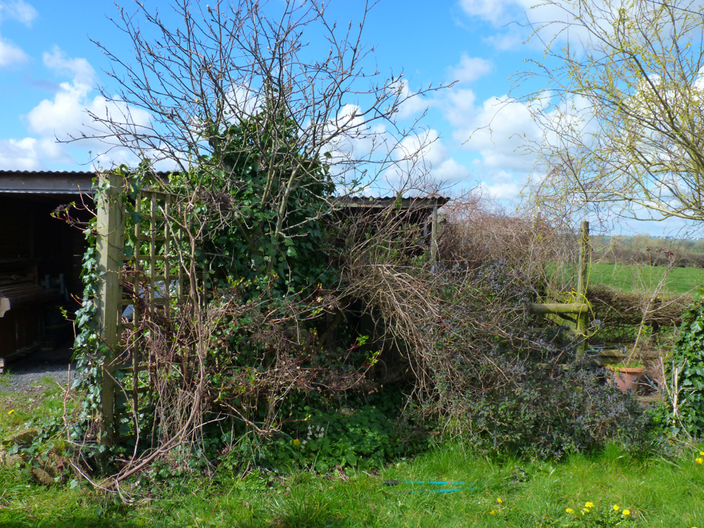 Middle of Nowhere: Tackling the beast