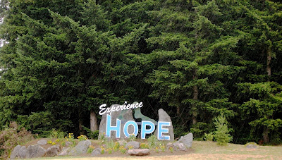 The Bayo-Hunter: TO YOU MY TEAM HOPE COUSINS