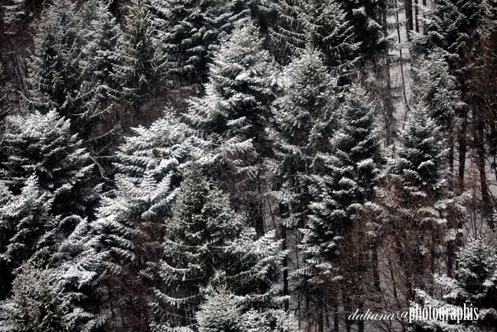 Photographis: Winter in March