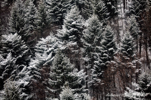 Photographis: Winter in March