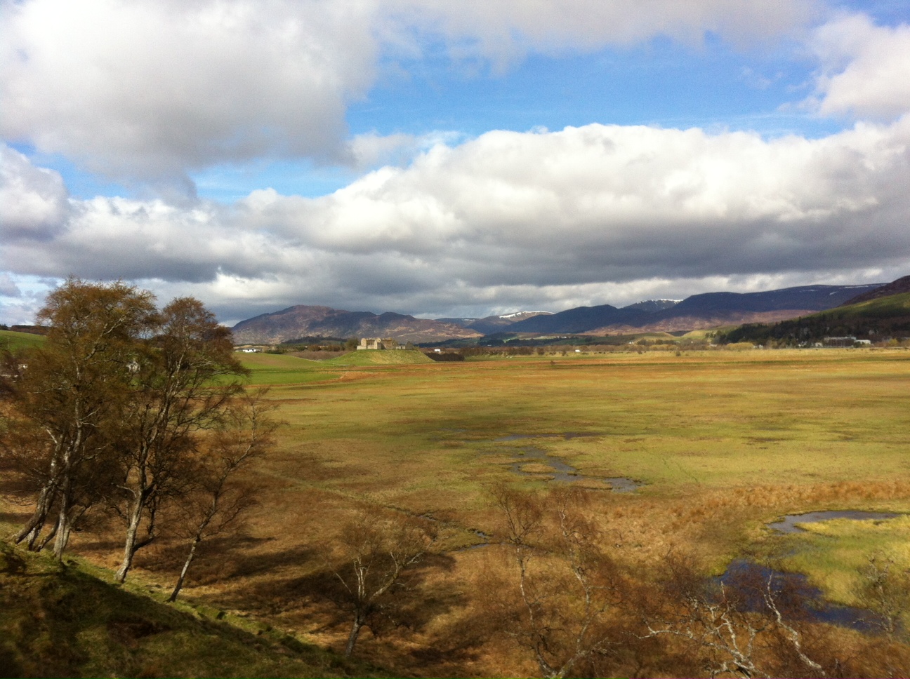 CWP Birding: Loch Insh and Killiecrankie......and pit 74 once more