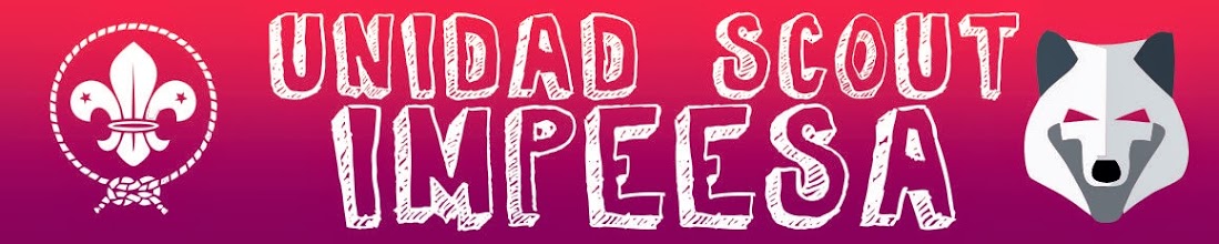 UNIDAD SCOUT IMPEESA: Mi Banderin