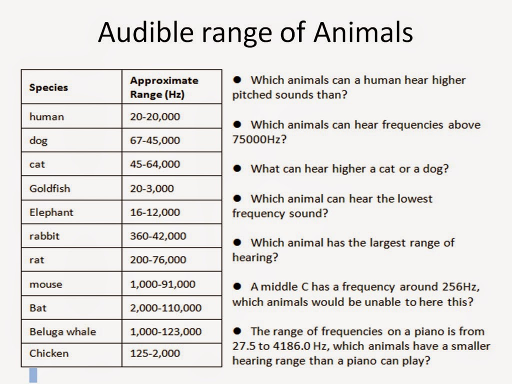 MYP Science Grade 7: Audible ranges