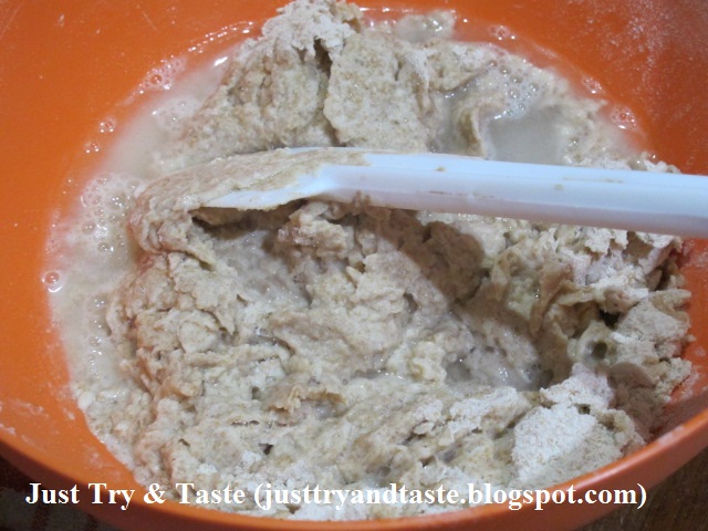 Resep Roti Gandum Tanpa Ulenan (100% tepung gandum utuh) | Just Try & Taste